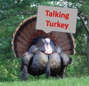 Why Are There So Many Turkeys? (Talking All Things Turkey) - Newton Beacon