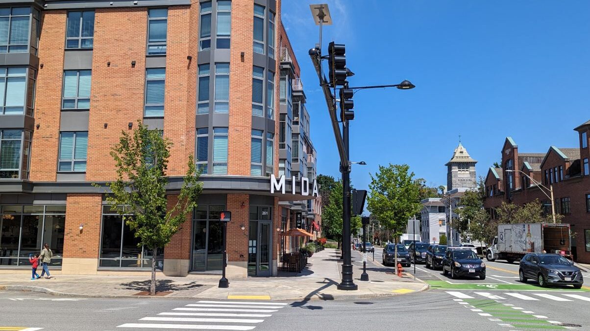 What Newton's newly enhanced tree ordinance means for homeowners ...